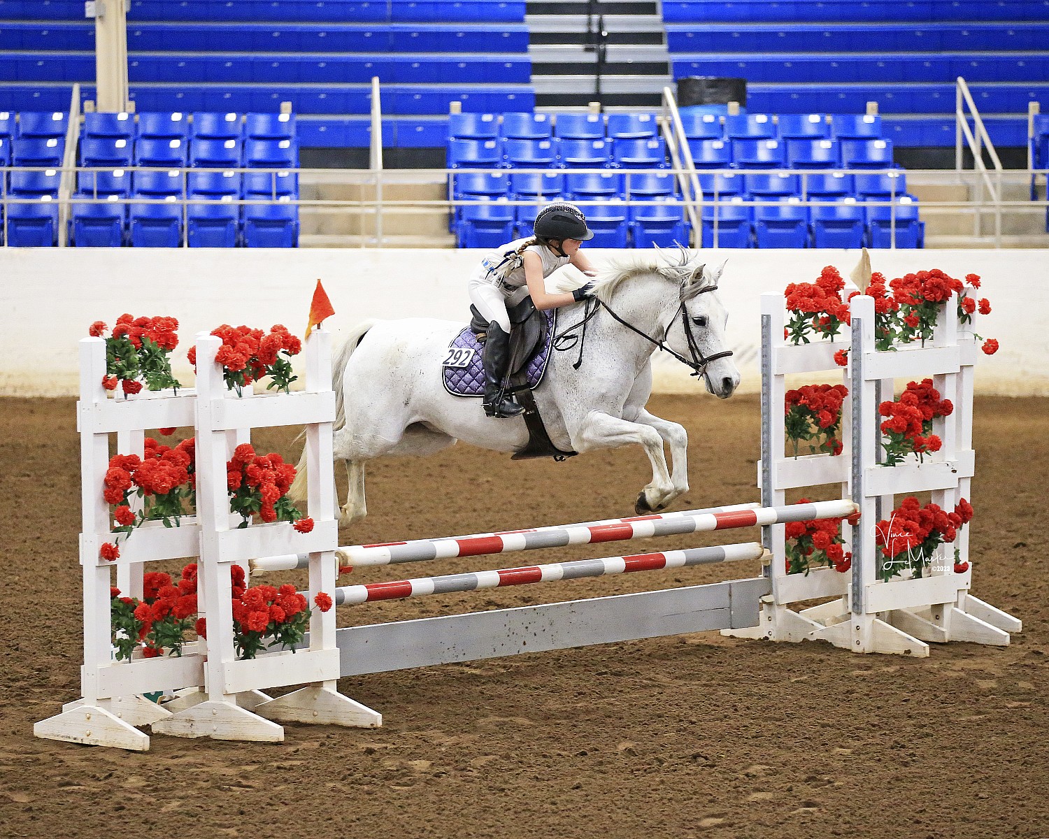 Arizona Fall Classic 2 - Horse Show Proofs - 2023 - Vince LeMaster ...