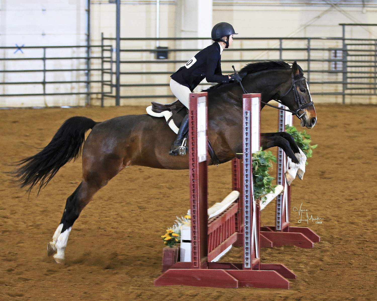 Colorado Show Circuit At The Ranch - MARCH SHOW - Horse Show Proofs ...