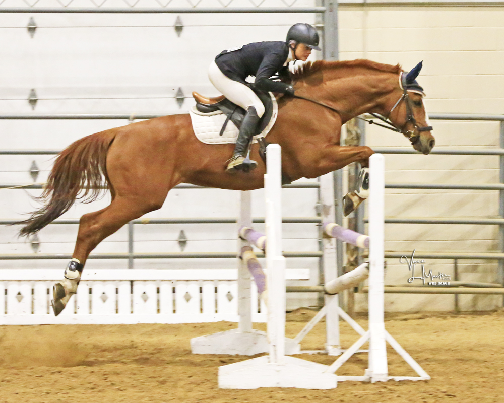 Gold Crest Charity Challenge - Horse Show Proofs - 2021 - Vince ...
