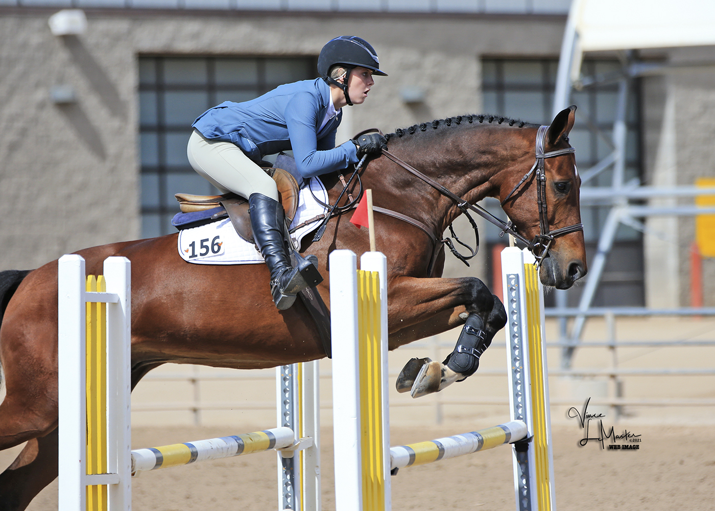 Arizona Fall Classic - Horse Show Proofs - 2021 - Vince LeMaster ...