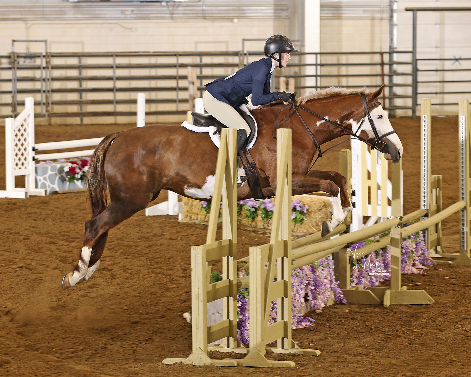 Gold Crest Charity Challenge - Horse Show Proofs - 2024 - Vince ...